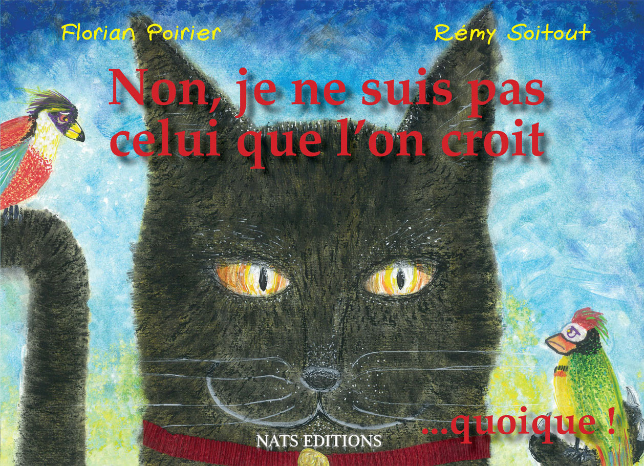 Non, je ne suis pas celui que l’ont croit Non, je ne suis pas celui que l’ont croit